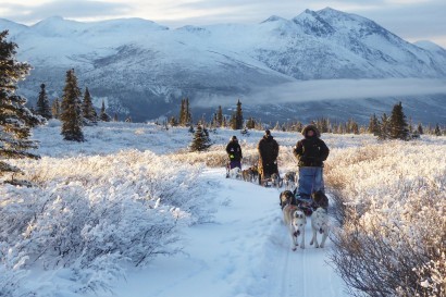 Dogsledding | Yukon Wild