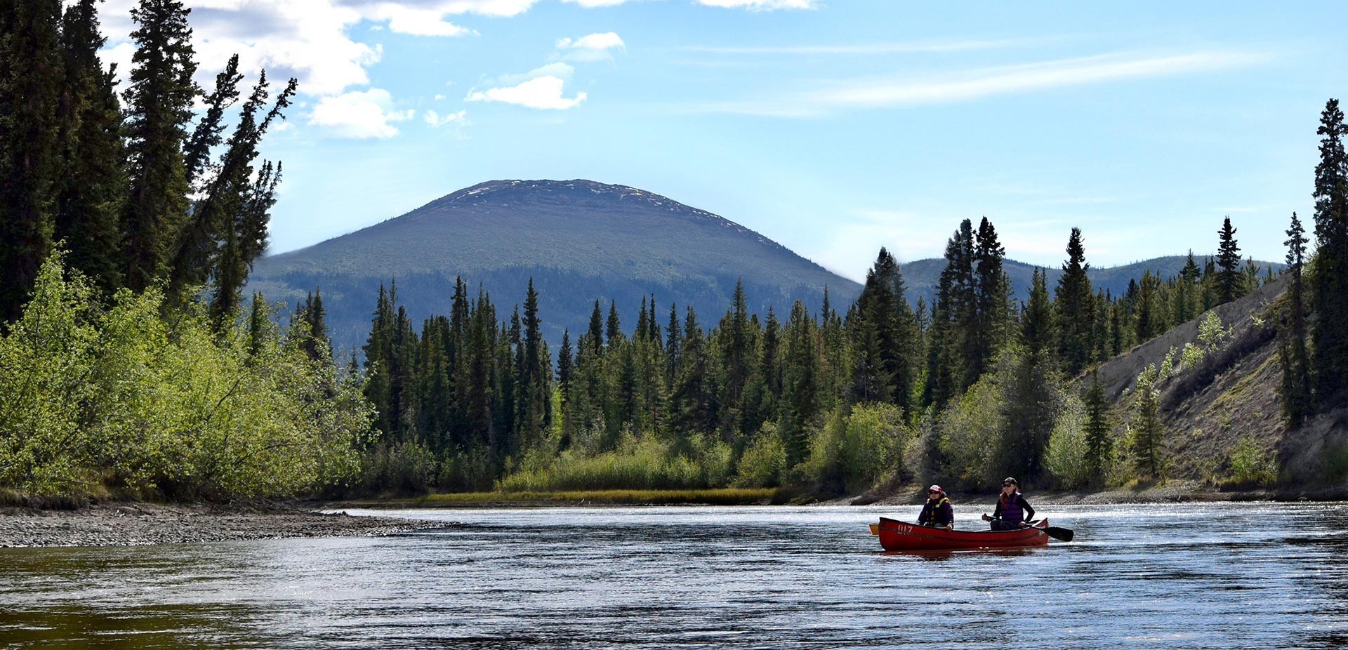 Yukon Summer Express | Yukon Wild